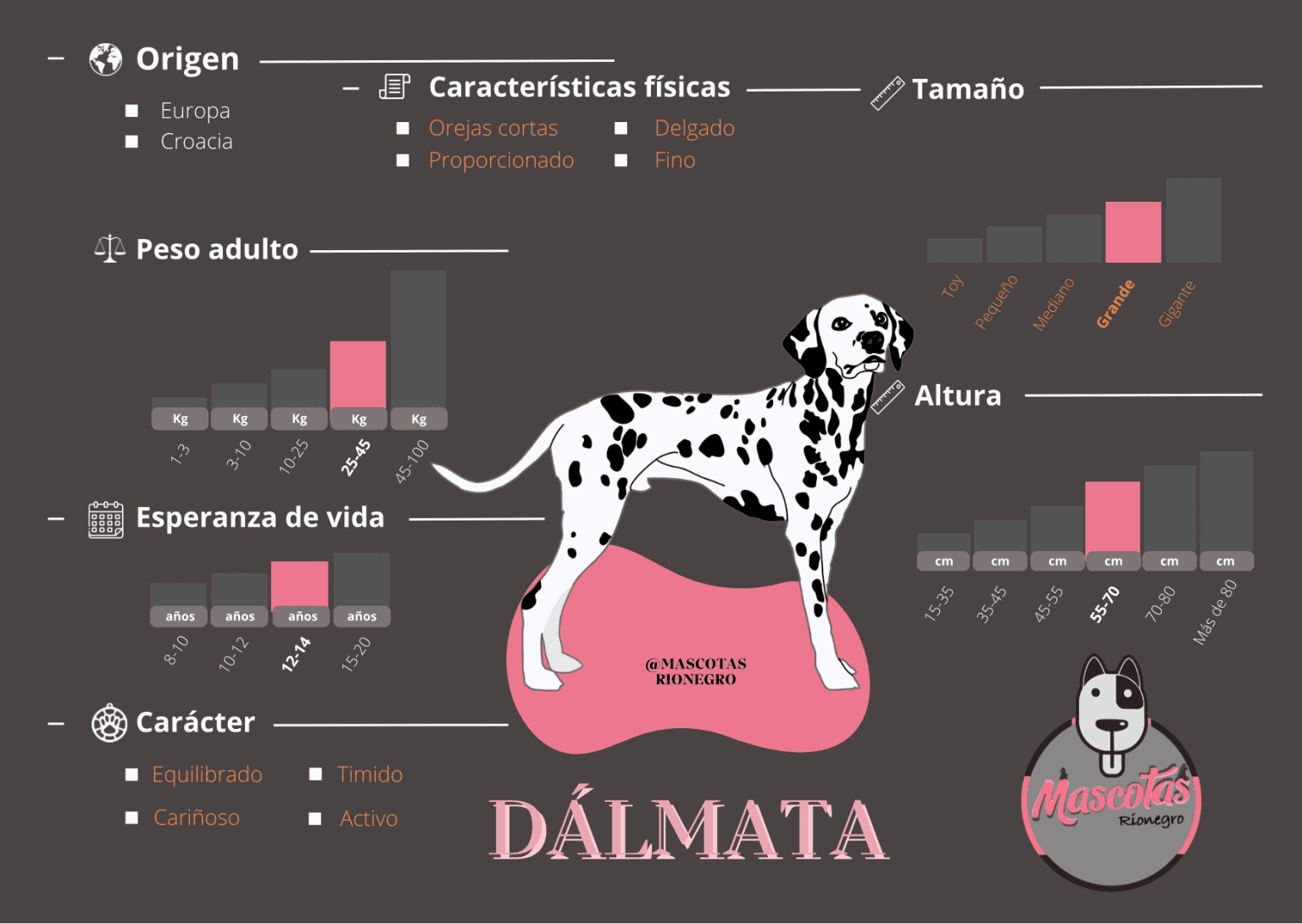 Criadero Dálmata Colombia ★| El Mejor Precio Colombia