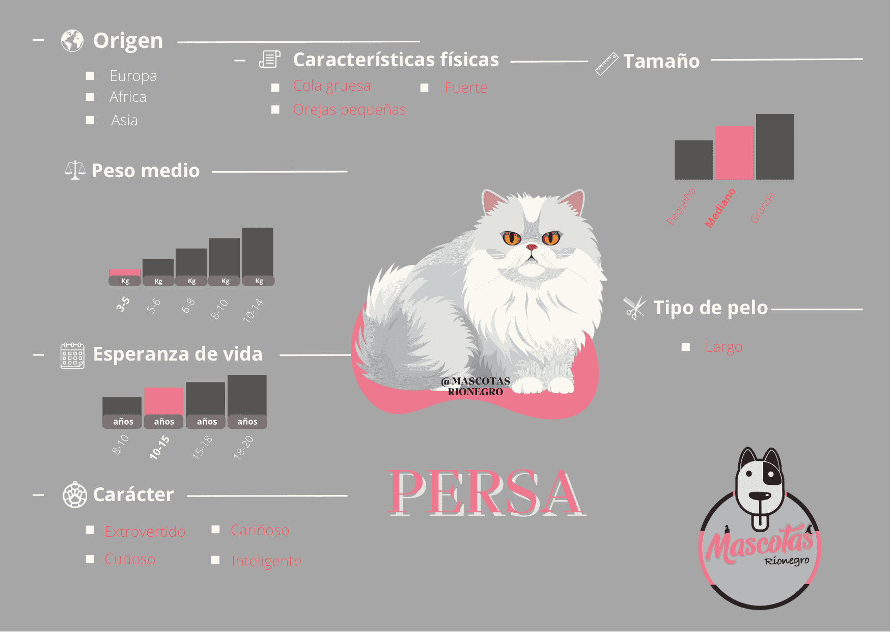 Criadero Gatos Persa