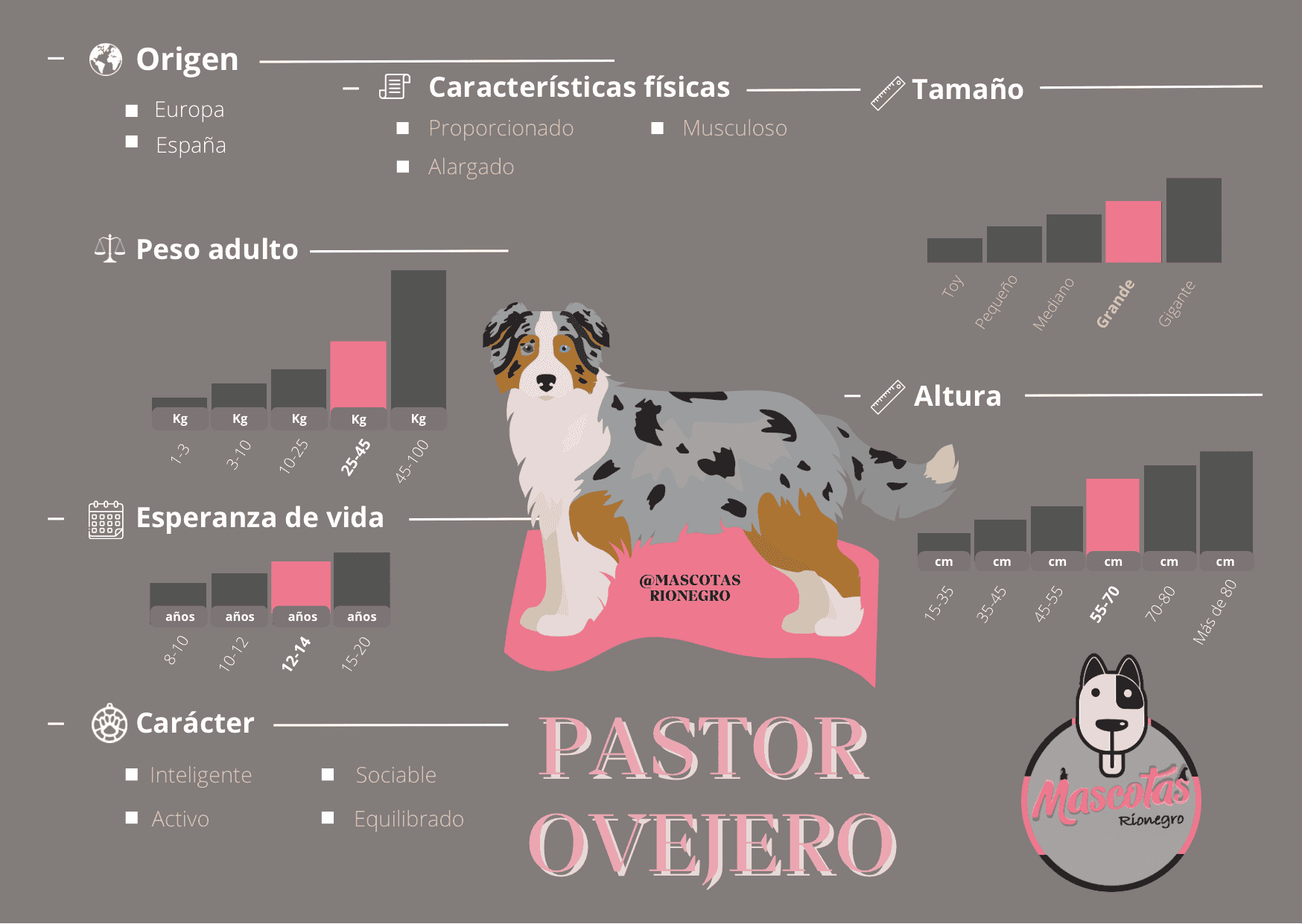 Criadero Pastor Ovejero Australiano